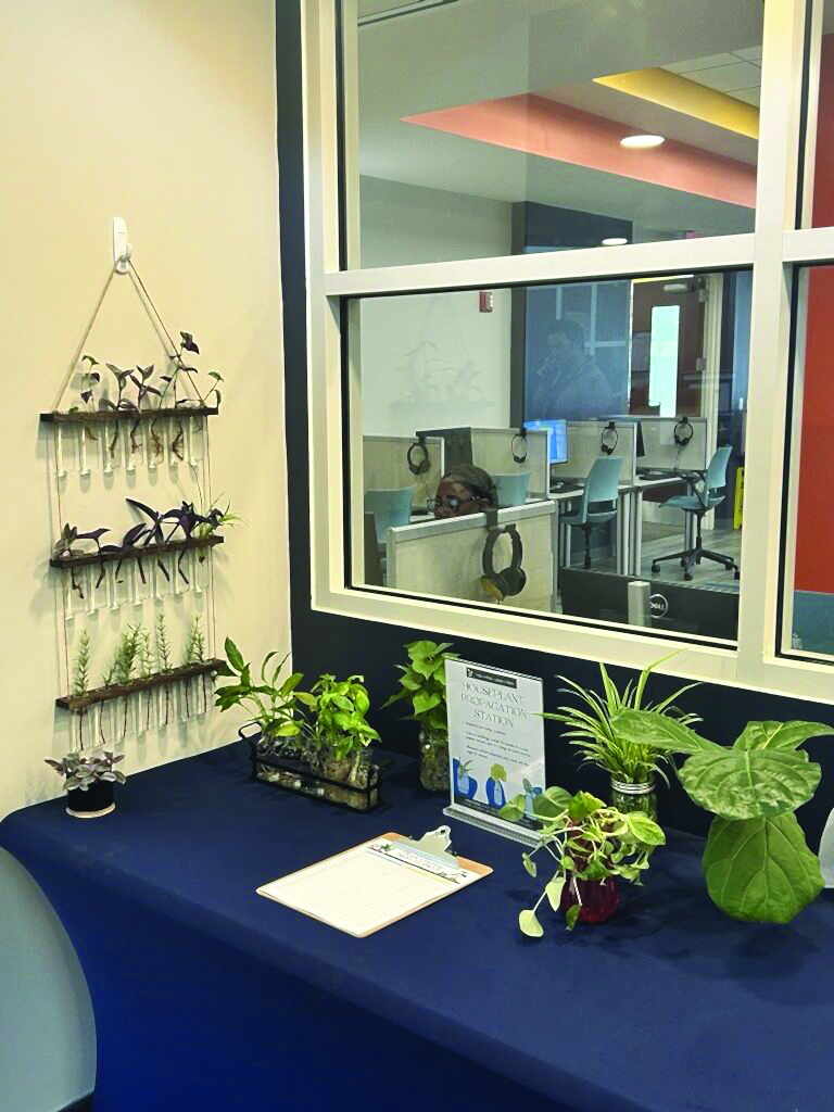 Home - Opelika Observer