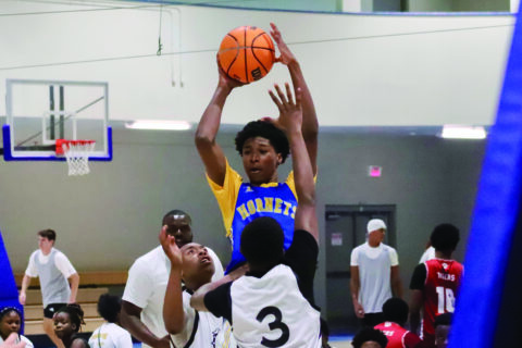 Play day offers hoopers chance to shine - The Observer